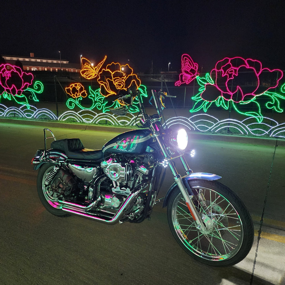 Eagle Lights 2” Infinity Beam Front and Rear (1156) LED Turn Signal Ki