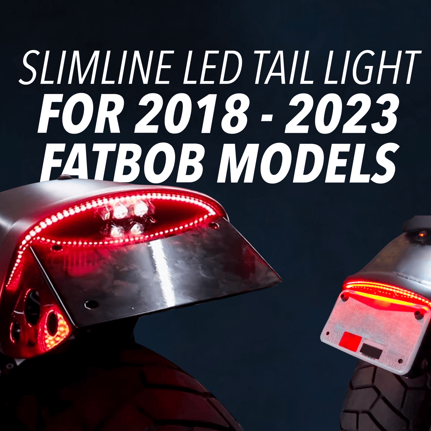 Eagle Lights SLIMLINE Auxiliary Run, Turn Signal and LED Brake Light f