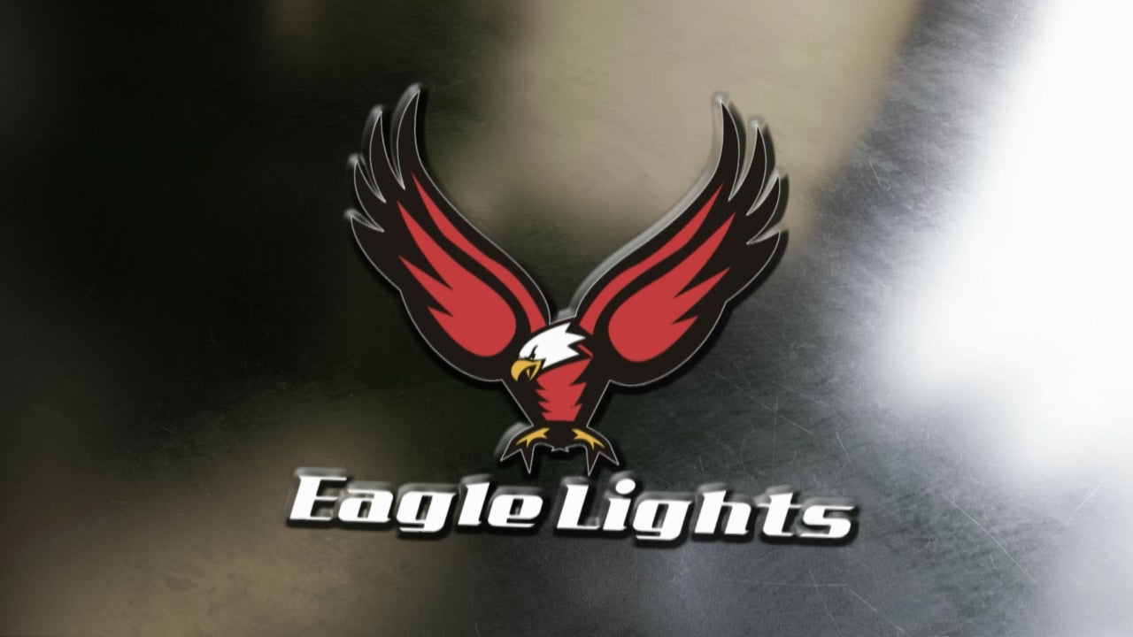 Eagle Lights Strobing Flashing Brake Light Module - 16 Patterns ...